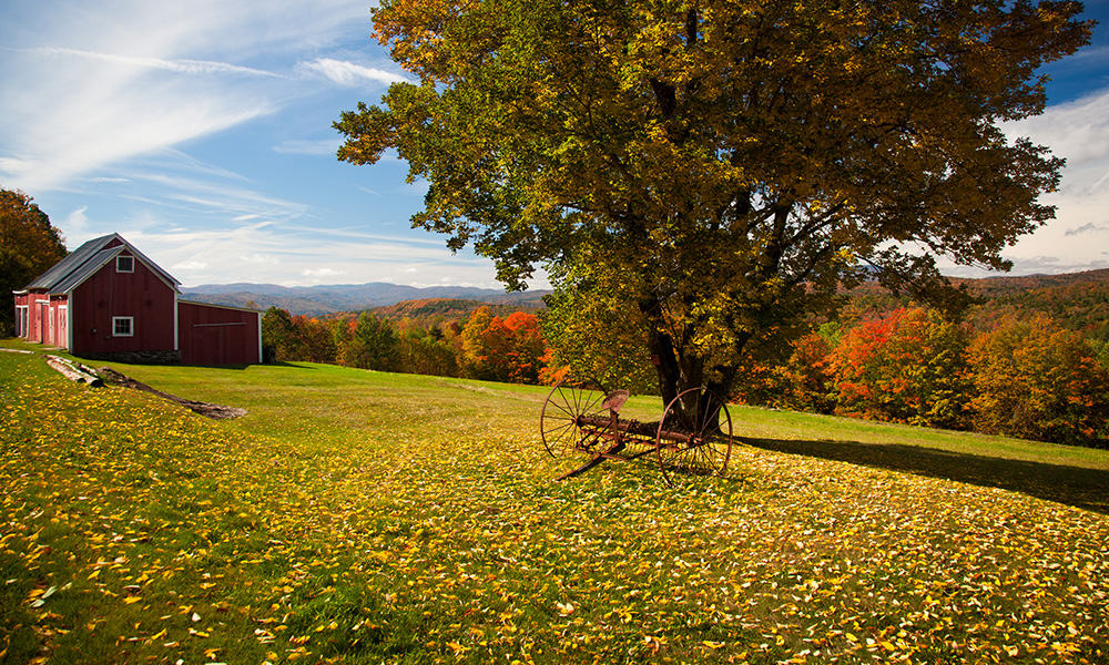 De-thatching - De-thatching Oswego IL - ABC LawnWorks