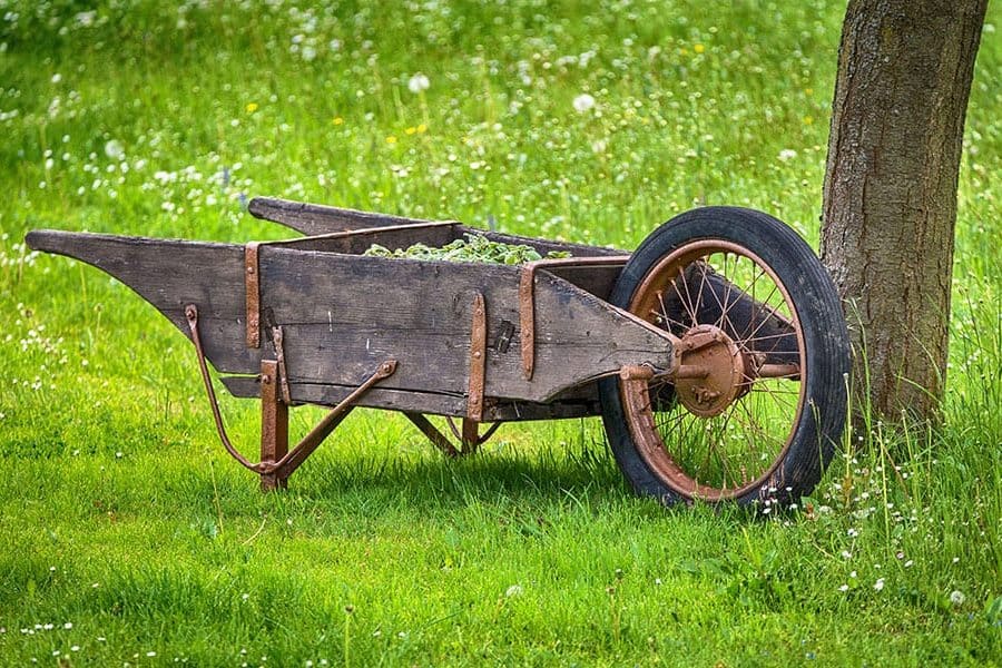 Blog - Lawn Care Oswego IL - ABC LawnWorks