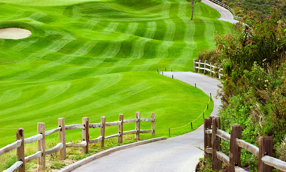 Lawn Care Montgomery IL - ABC LawnWorks