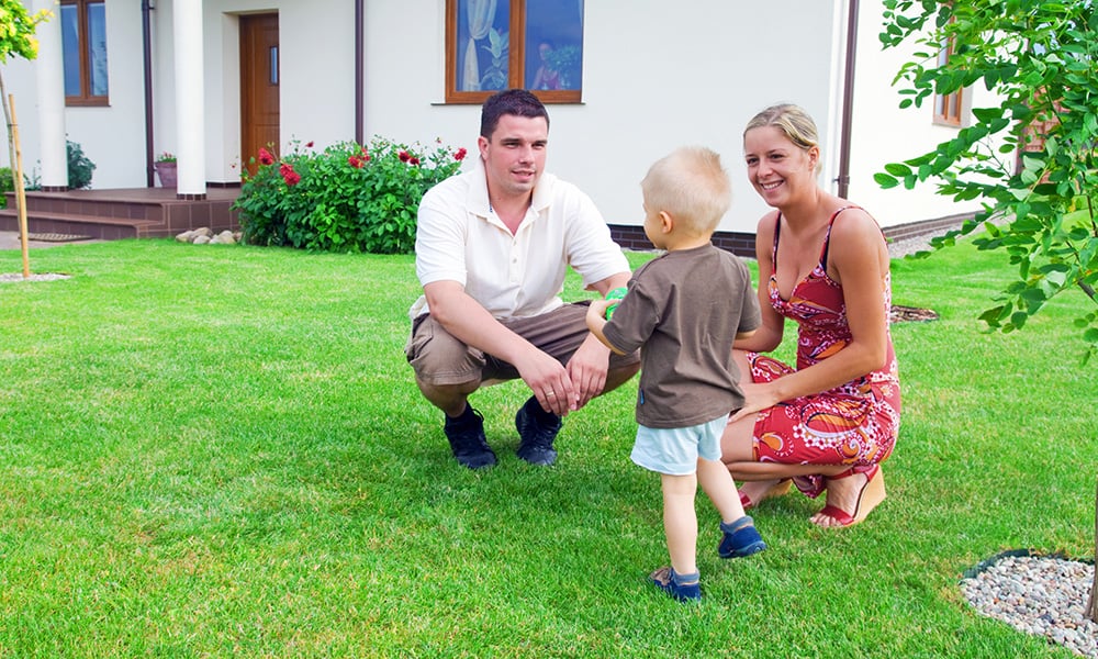 Lawn Care Oswego IL - ABC LawnWorks